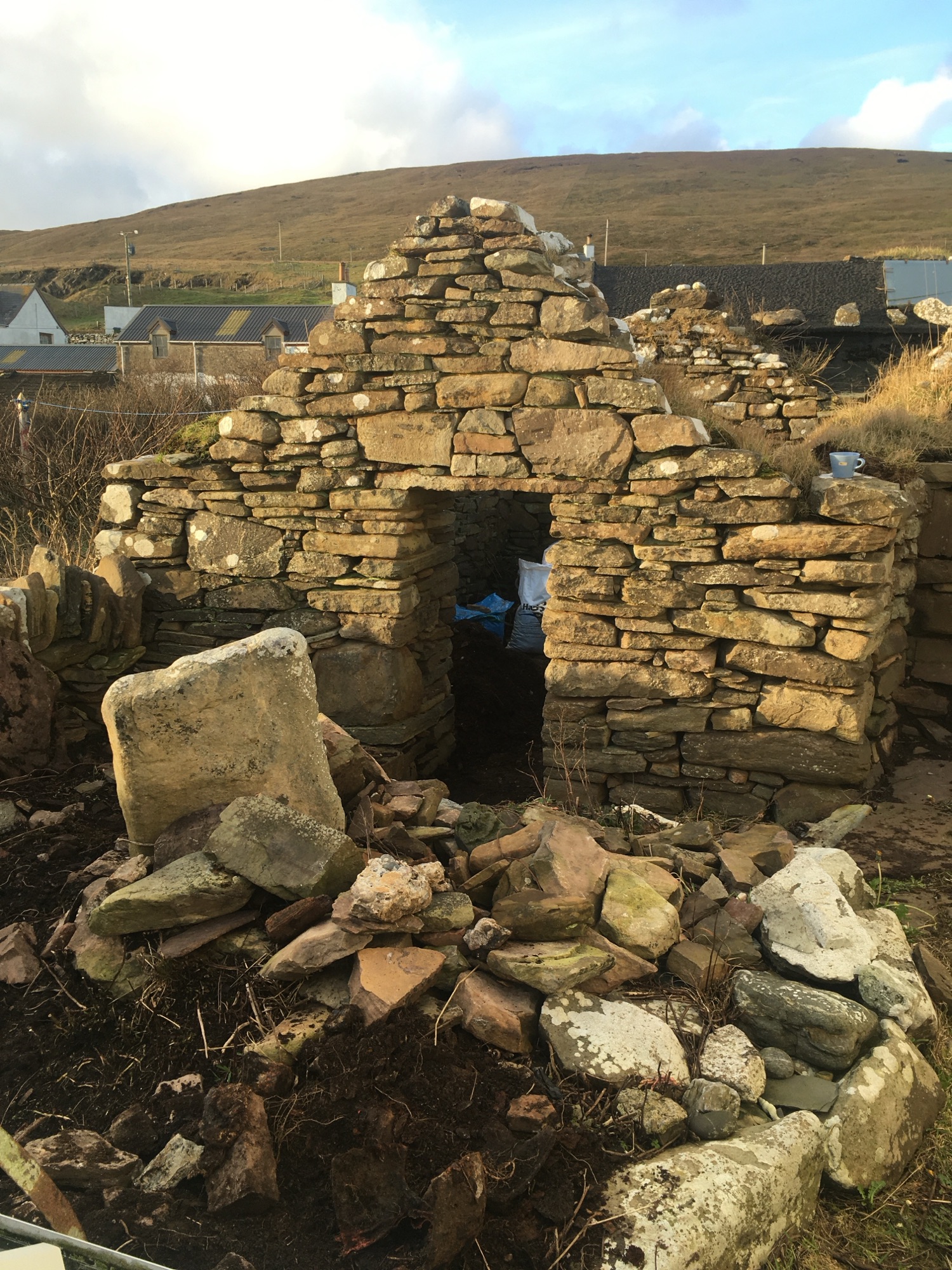 Blog – tracey doxey