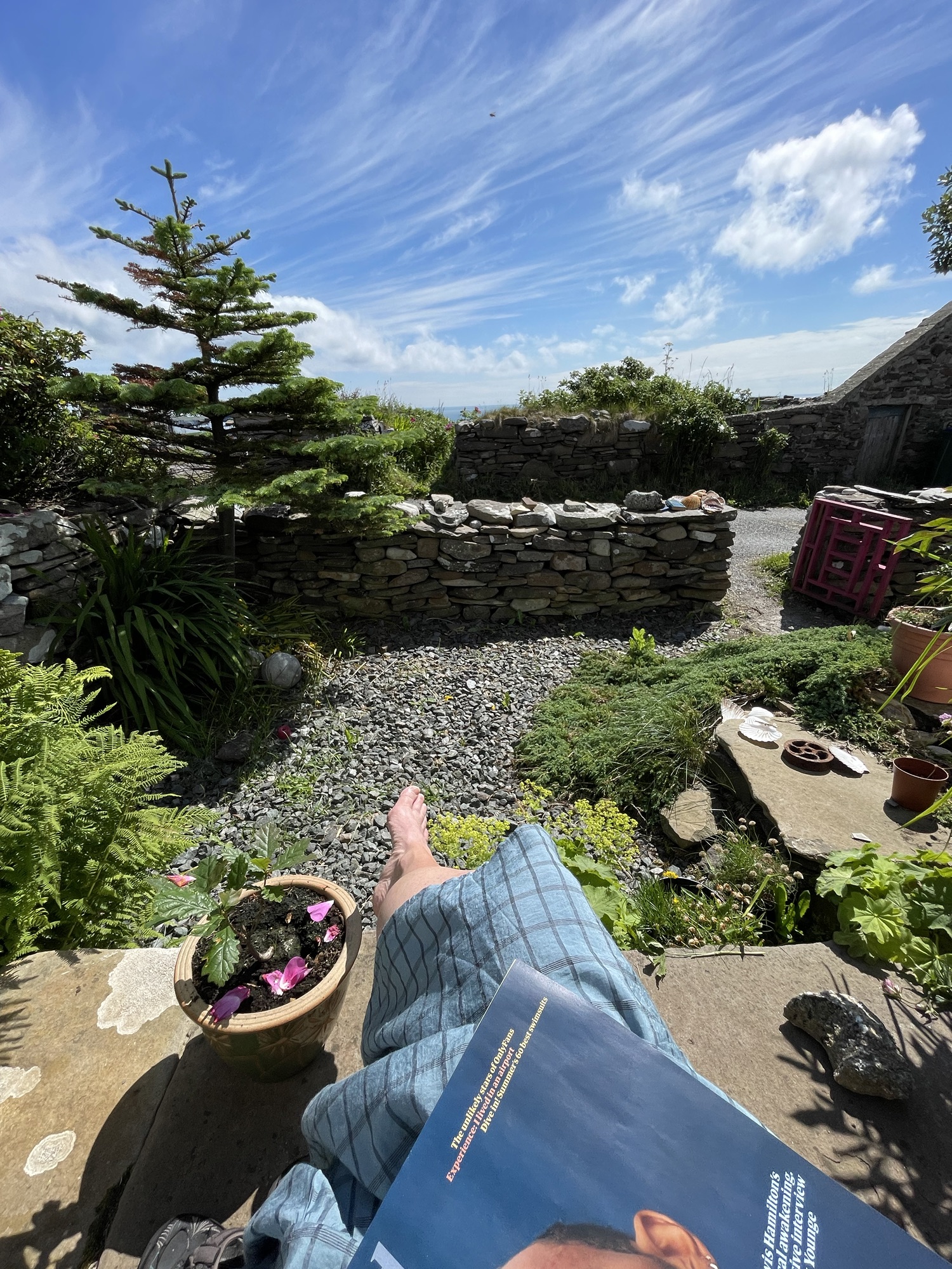 Blog – tracey doxey