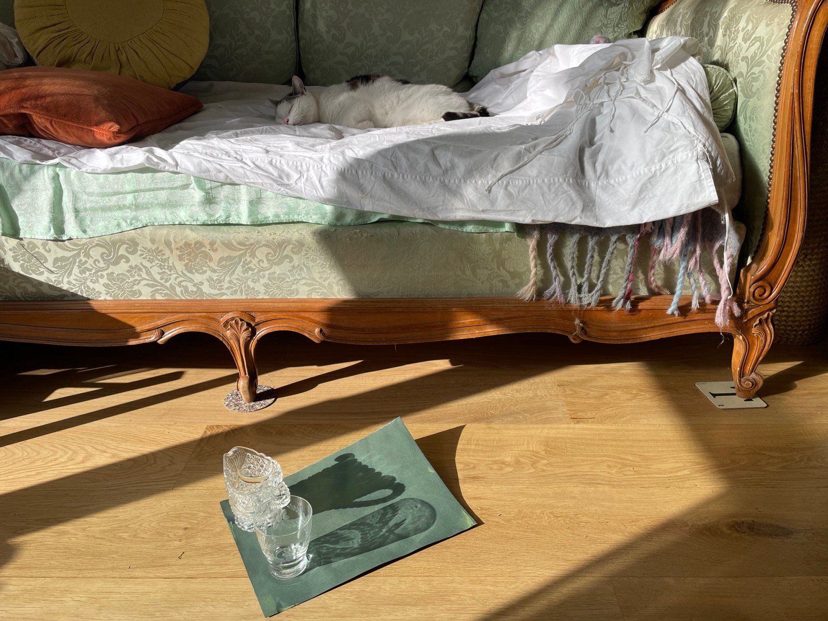 Blog – tracey doxey